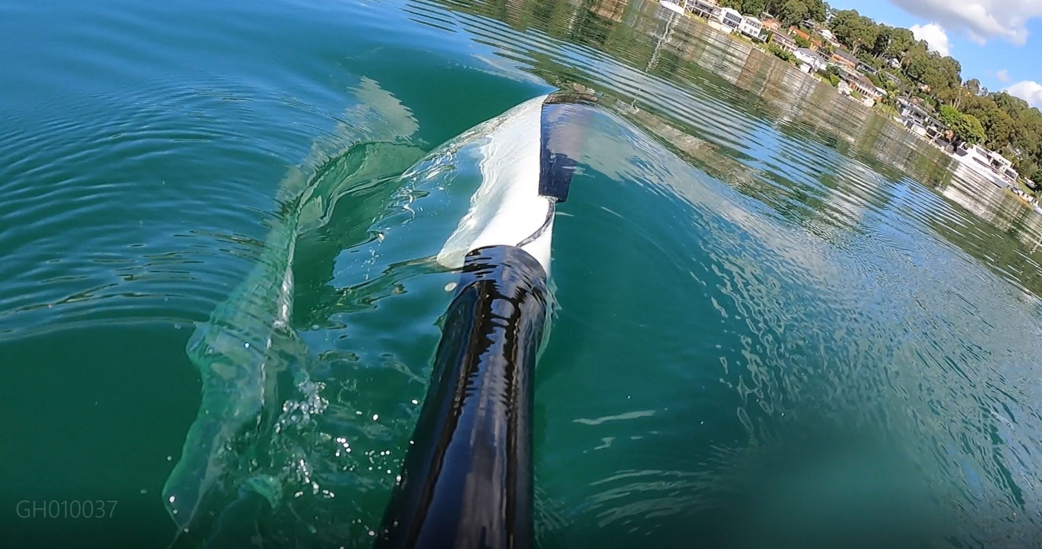 Vortex Studies by Perfect Balance Rowing – RANDALLfoils